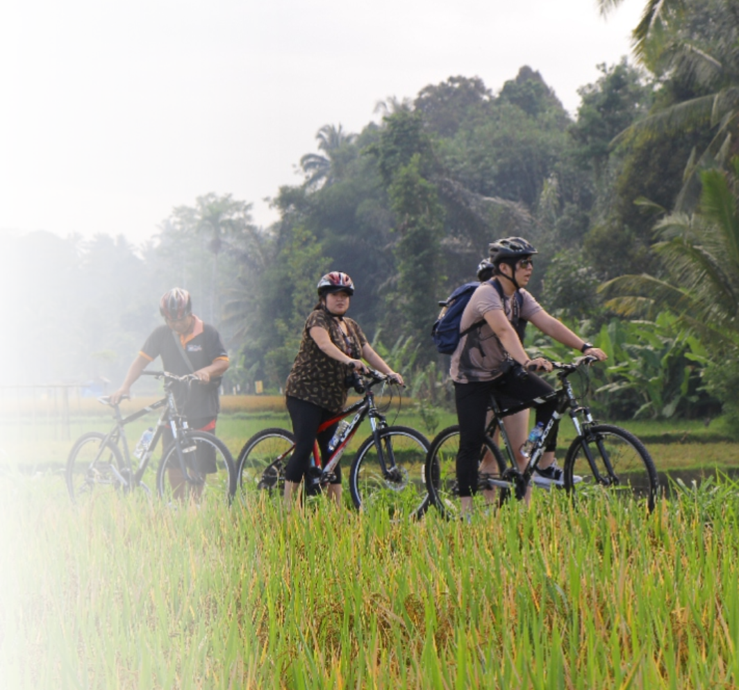 Ubud Cycling Tours - SereS Hotels & Resorts